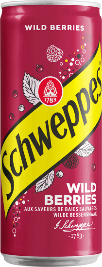Schweppes Ginger beer - Schweppes | Schweppes